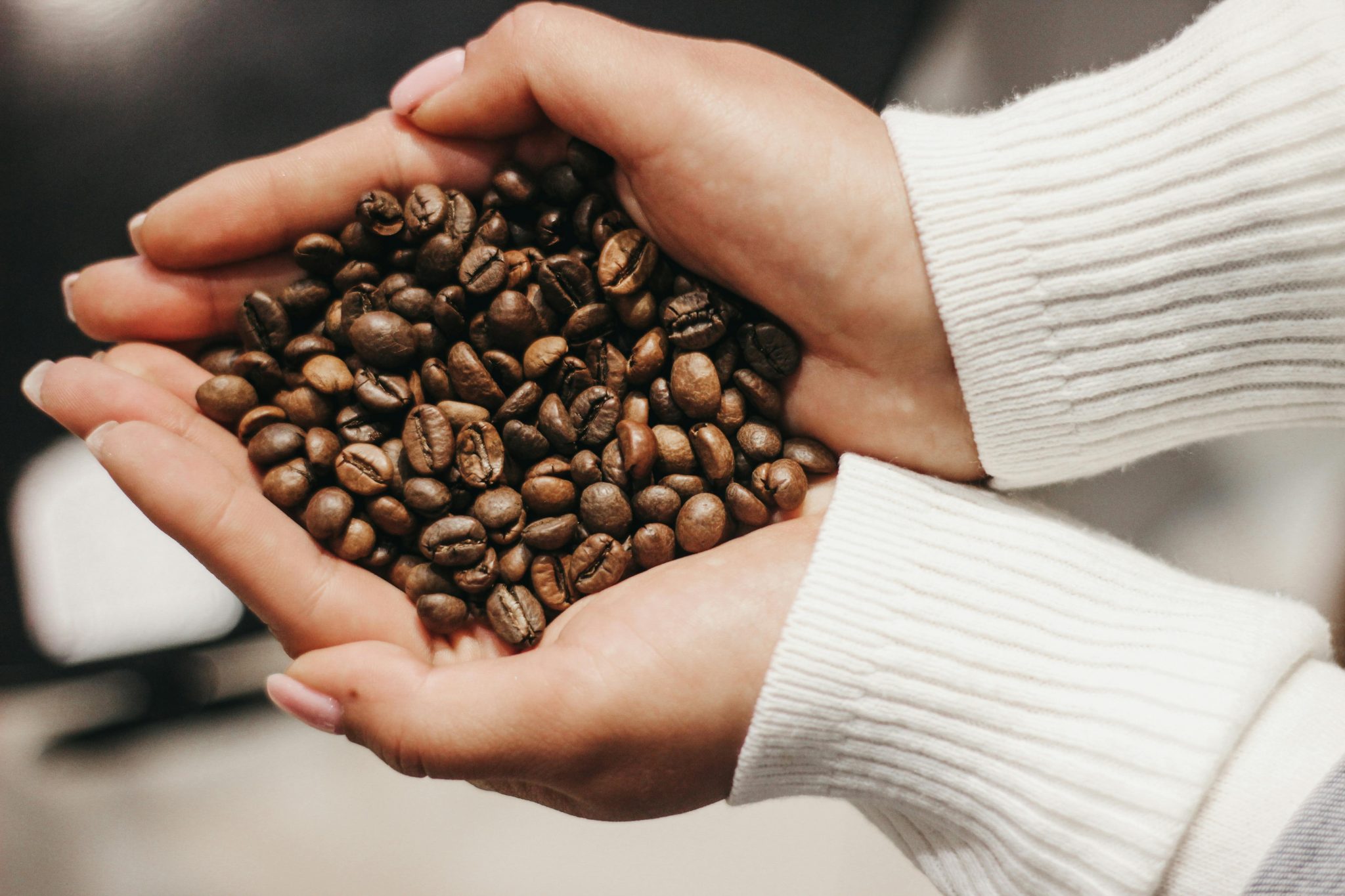 How To Visually Test Coffee Bean Quality