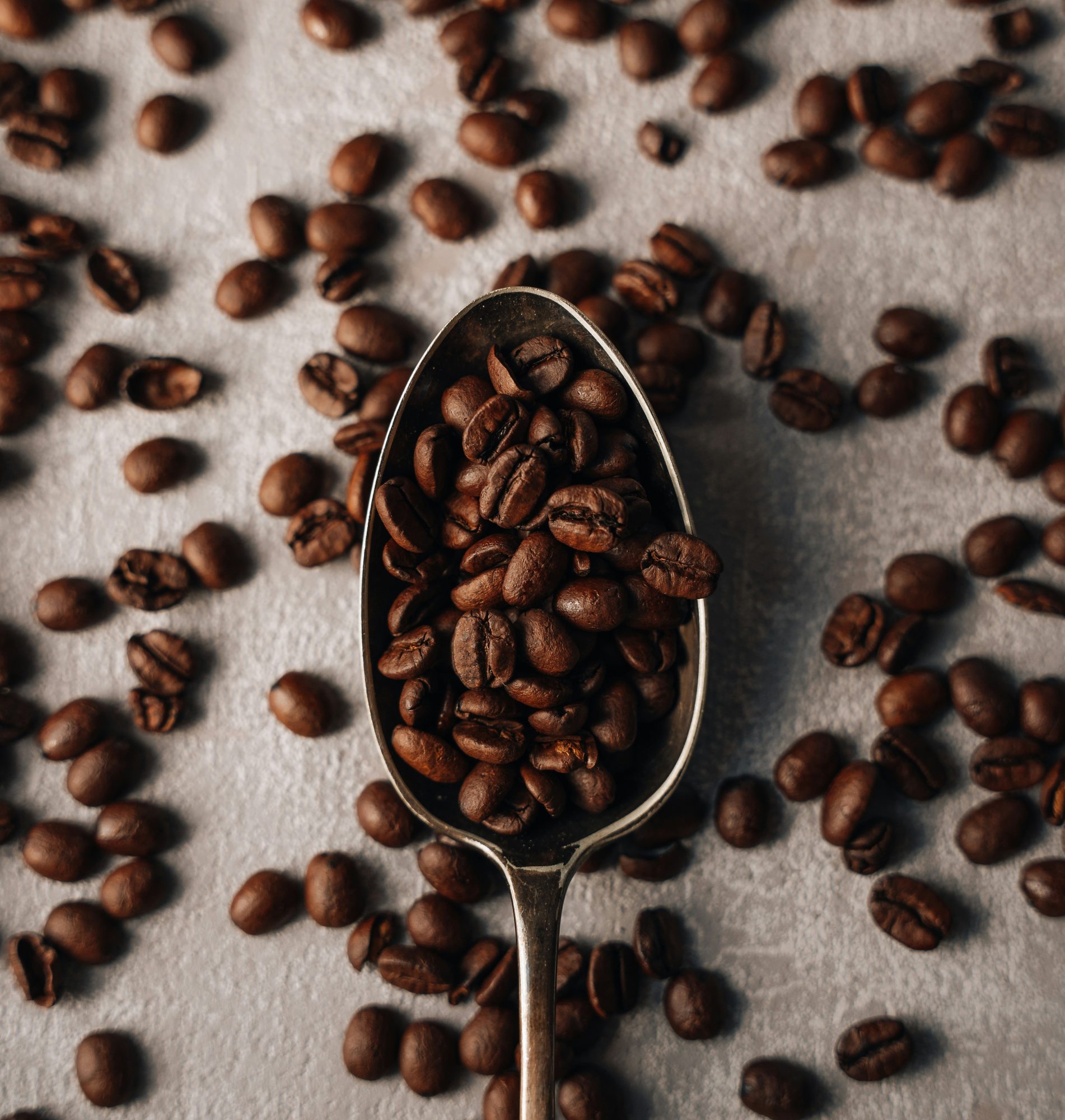 The Coffee Bloom: What It Is And Why It Matters